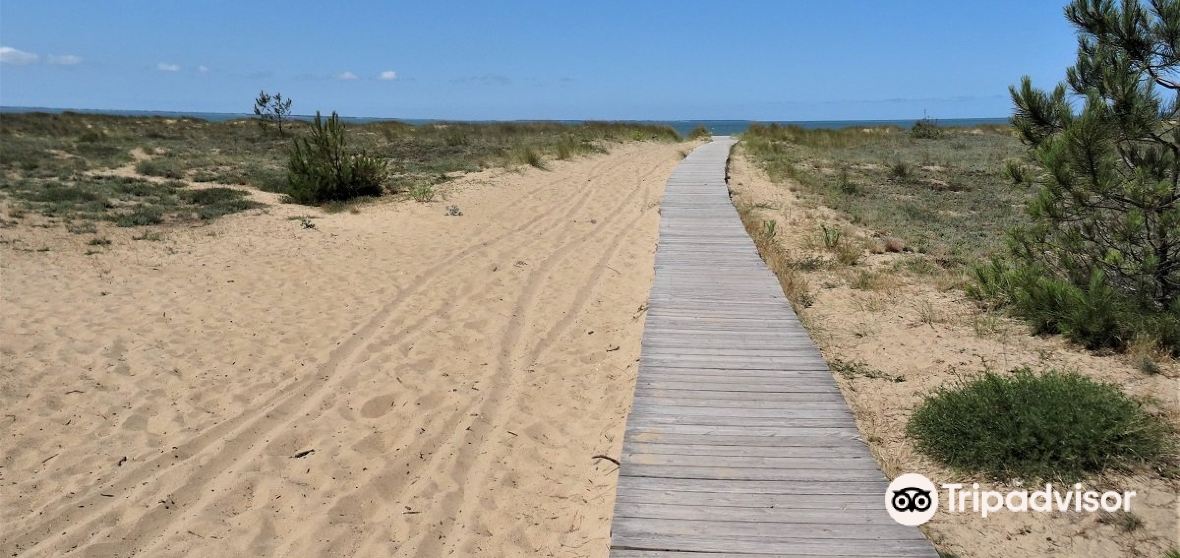 La Faute-sur-Mer 2023 Top Things to Do - La Faute-sur-Mer Travel Guides ...