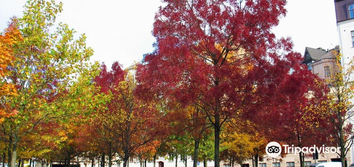 Angelholm Municipality Travel Guide 2023 - Things to Do, What To Eat ...