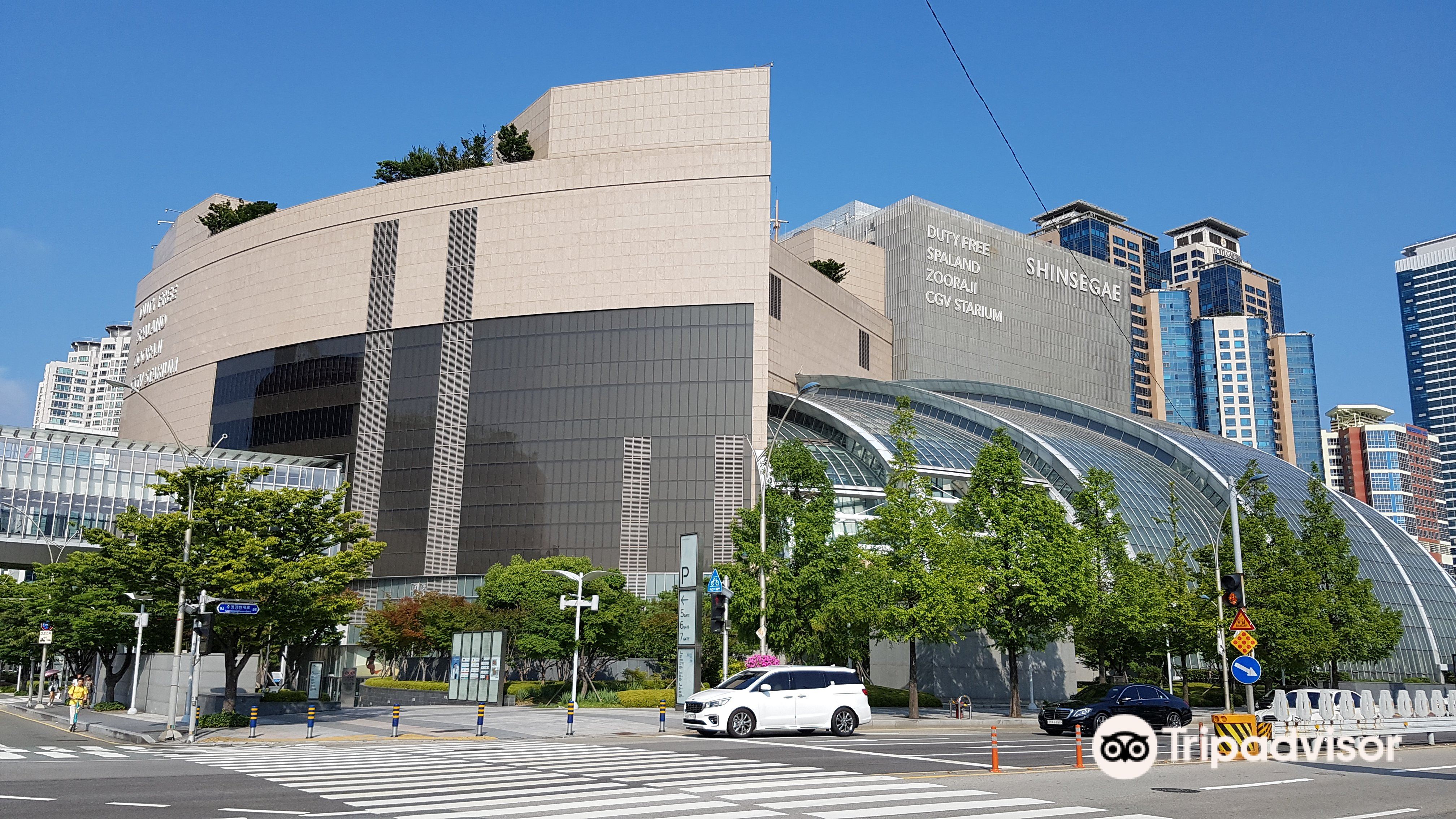 What to Do in Busan in 7 Days? Travel Guide and Tips - Trip.com