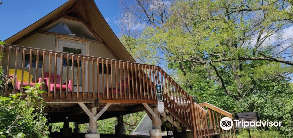 Front of Yonge Travel Guide 2023 - Things to Do, What To Eat & Tips ...