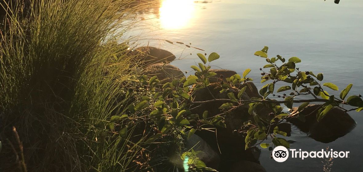 2023年Gyttorpの人気観光スポット - Gyttorpの旅行ガイド - Gyttorpのおすすめ観光スポットのチケット、ホテル、楽しみ ...