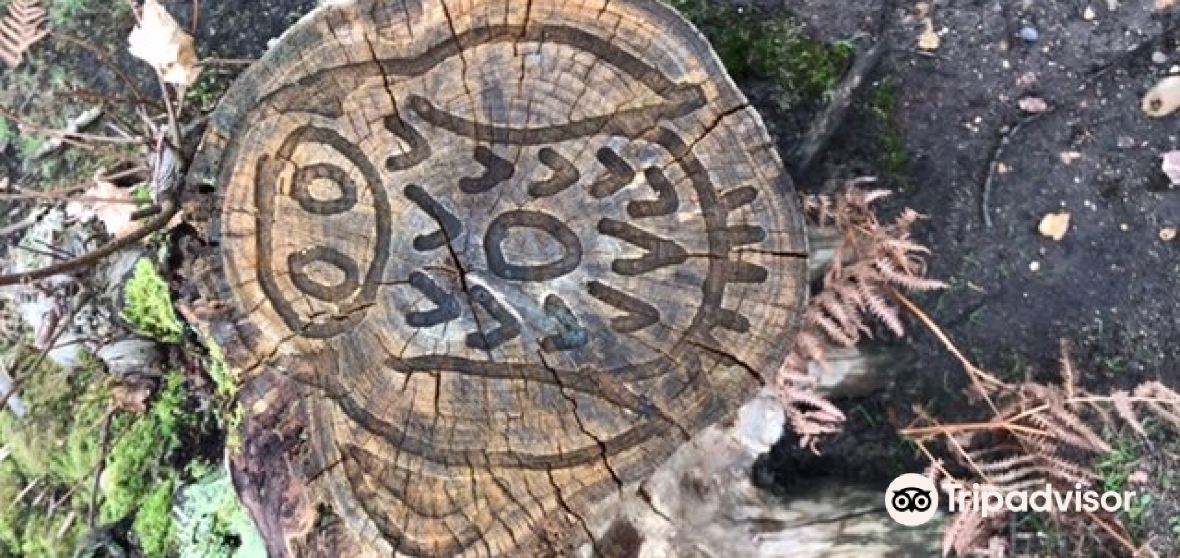 Hackington Travel Guide 2023 - Things to Do, What To Eat & Tips | Trip.com