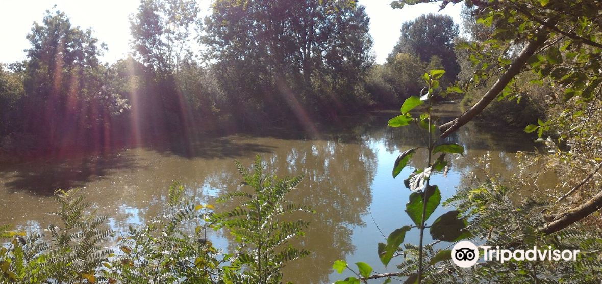 กิจกรรมน่าทำยอดนิยมในMezzaniประจำปี 2023 - คู่มือท่องเที่ยวMezzani ...