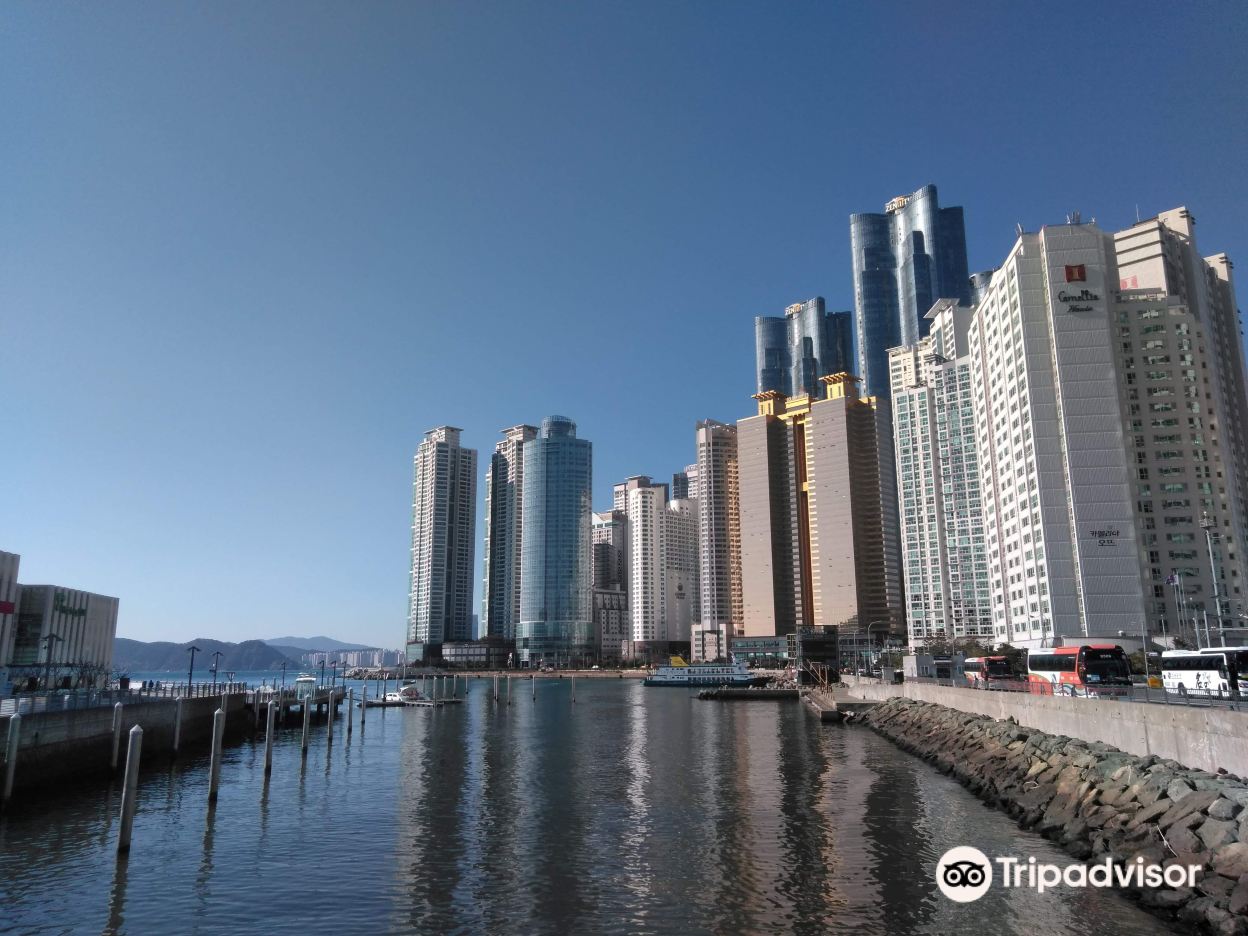 What to Do in Busan in 7 Days? Travel Guide and Tips - Trip.com