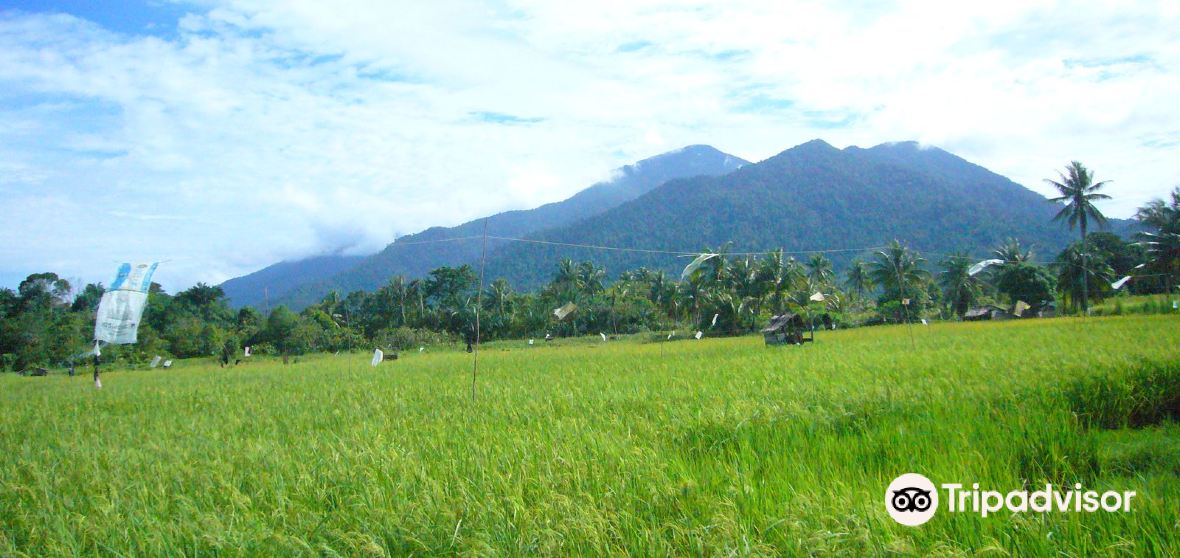 Lundu Travel Guide 2023 - Things to Do, What To Eat & Tips | Trip.com