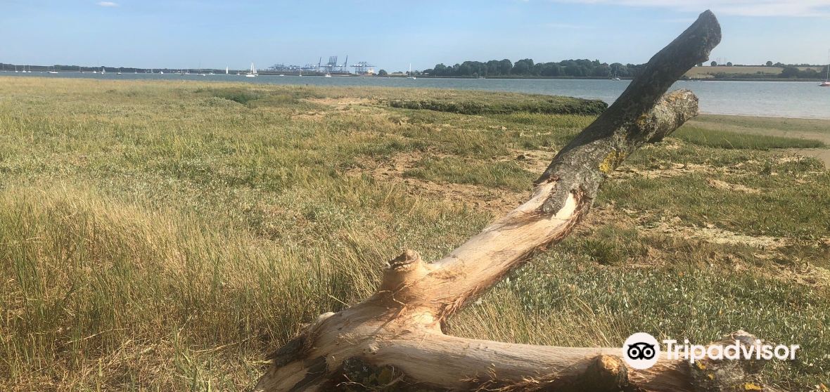 Bucklesham Travel Guide 2023 - Things to Do, What To Eat & Tips | Trip.com