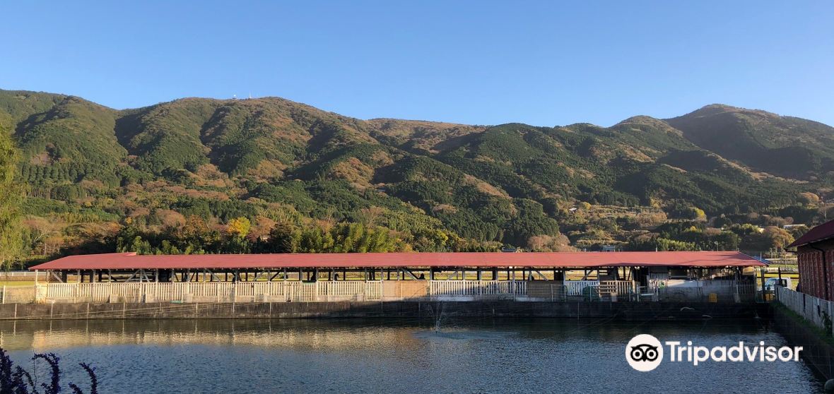 Tagata District 2023 Top Things to Do - Tagata District Travel Guides ...