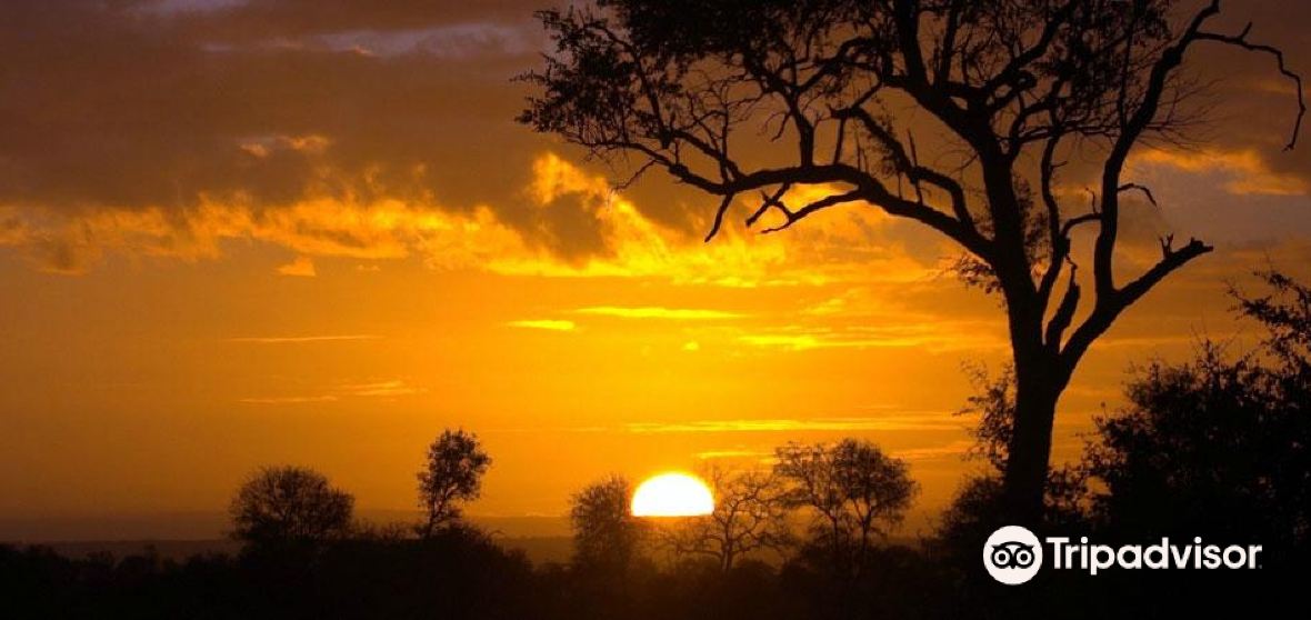 Richards Bay 2023 Top Things to Do - Richards Bay Travel Guides - Top ...