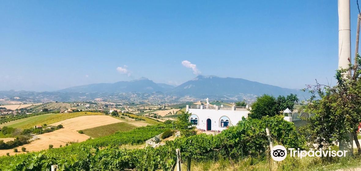 Controguerra Travel Guide 2023 - Things to Do, What To Eat & Tips ...