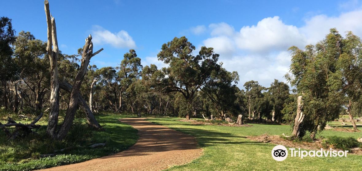 Cranbourne Travel Guide 2023 - Things to Do, What To Eat & Tips | Trip.com