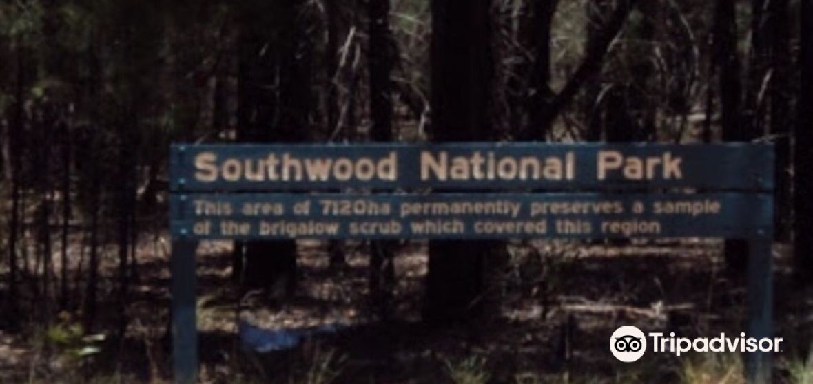 Moonie Travel Guide 2023 - Things to Do, What To Eat & Tips | Trip.com