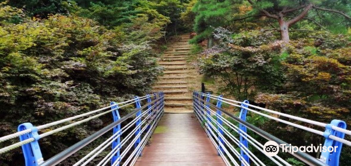 กิจกรรมน่าทำยอดนิยมในGoryeong-gunประจำปี 2023 - คู่มือท่องเที่ยว ...