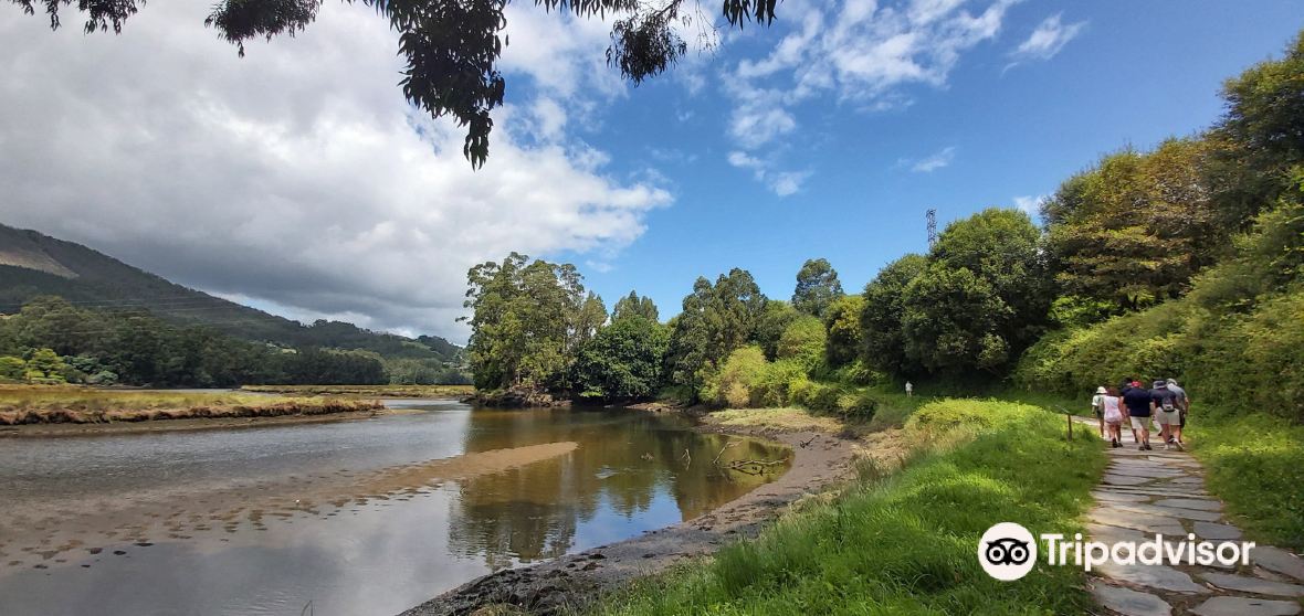 Viveiro Travel Guide 2023 - Things to Do, What To Eat & Tips | Trip.com