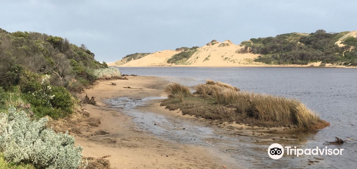 Dalyston Travel Guide 2024 - Things to Do, What To Eat & Tips | Trip.com