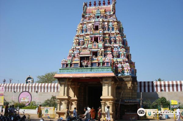 Coimbatore Itinerary For 2 Days Ultimate Coimbatore Travel Guide