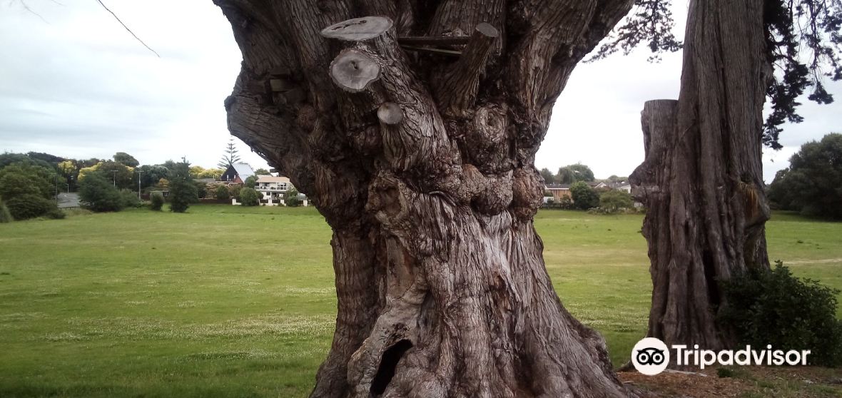 【2024年】Awapuniの人気観光スポット・旅行ガイド・グルメ情報満載 | Trip.com