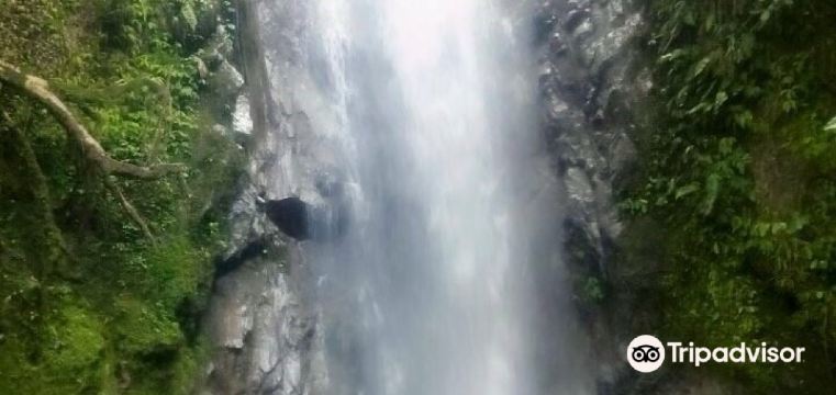 กิจกรรมน่าทำยอดนิยมในPantukanประจำปี 2022 - คู่มือท่องเที่ยวPantukan ...