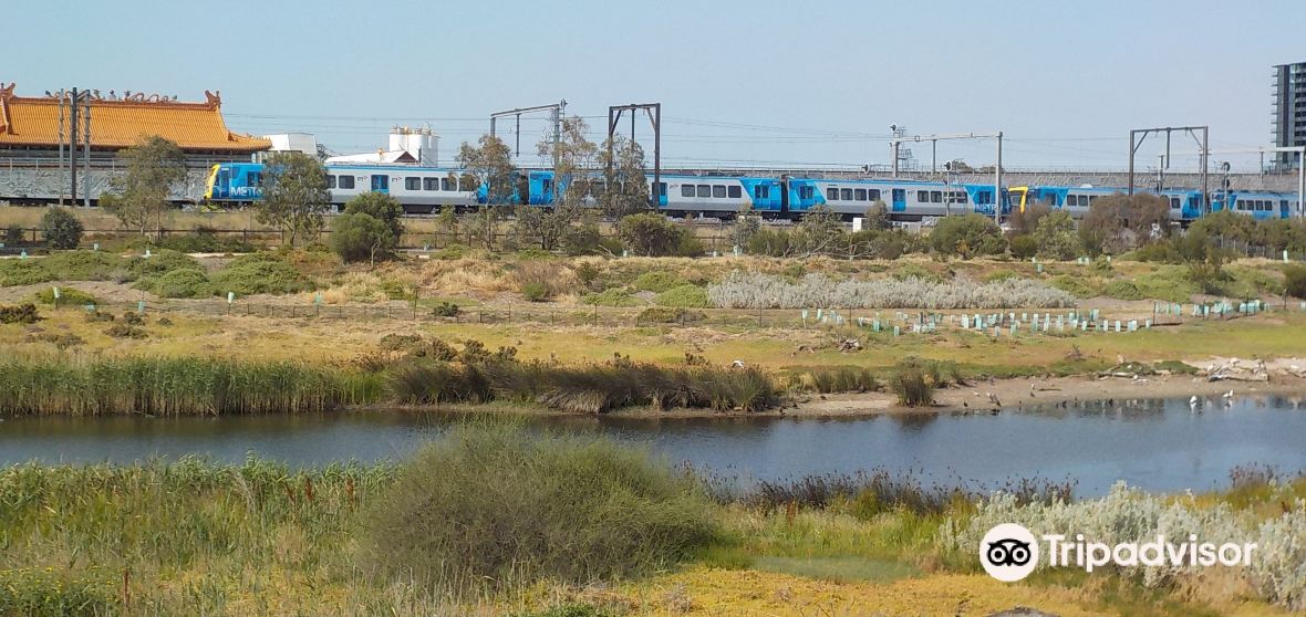 Kensington Travel Guide 2023 - Things to Do, What To Eat & Tips | Trip.com