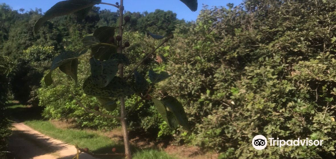 East Feluga 2022 Top Things to Do - East Feluga Travel Guides - Top ...