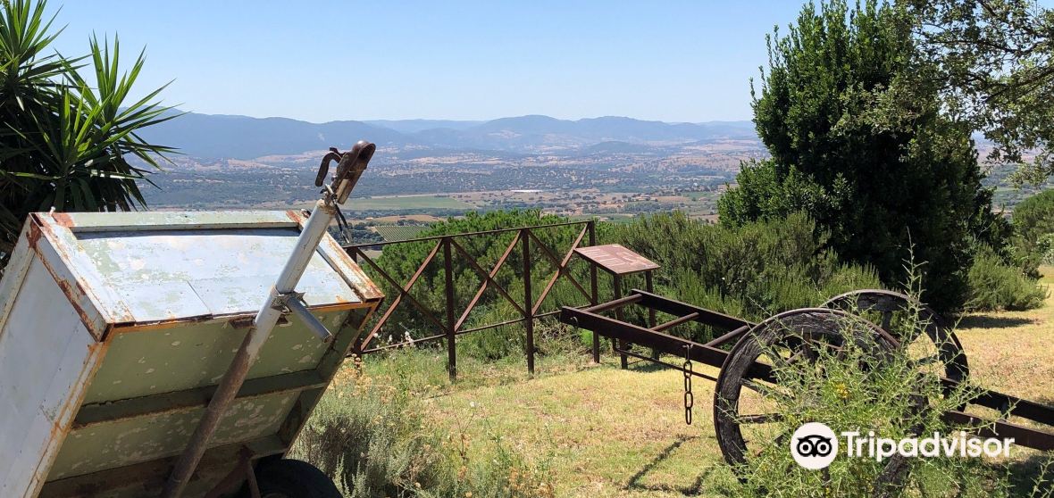 Berchidda Travel Guide 2023 - Things to Do, What To Eat & Tips | Trip.com