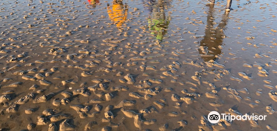 Nortmoor Travel Guide 2024 - Things to Do, What To Eat & Tips | Trip.com