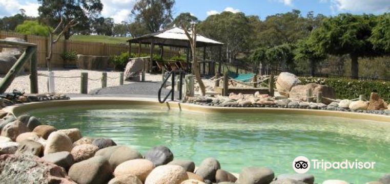 South Bowenfels Travel Guide 2024 - Things to Do, What To Eat & Tips ...