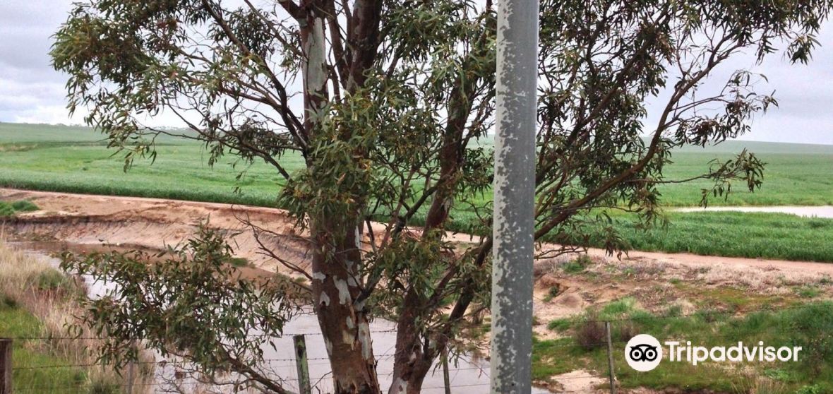 Willaura Travel Guide 2023 - Things to Do, What To Eat & Tips | Trip.com