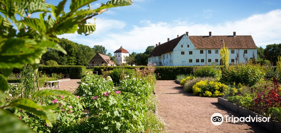 กิจกรรมน่าทำยอดนิยมในHassleholm Sประจำปี 2023 - คู่มือท่องเที่ยว ...