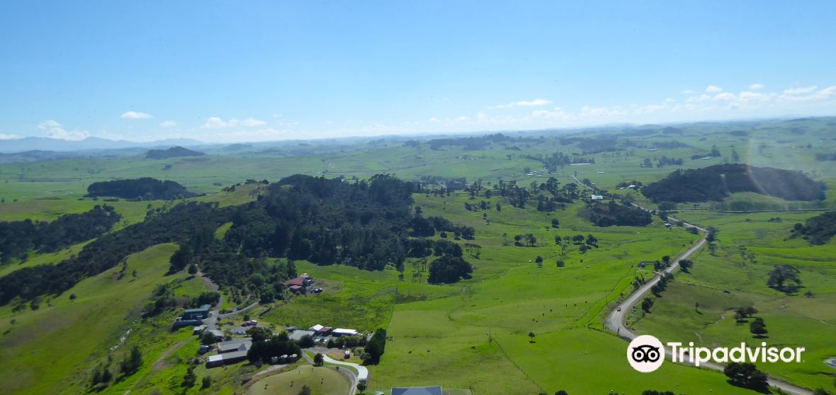 Dargaville 2023 Top Things to Do - Dargaville Travel Guides - Top ...