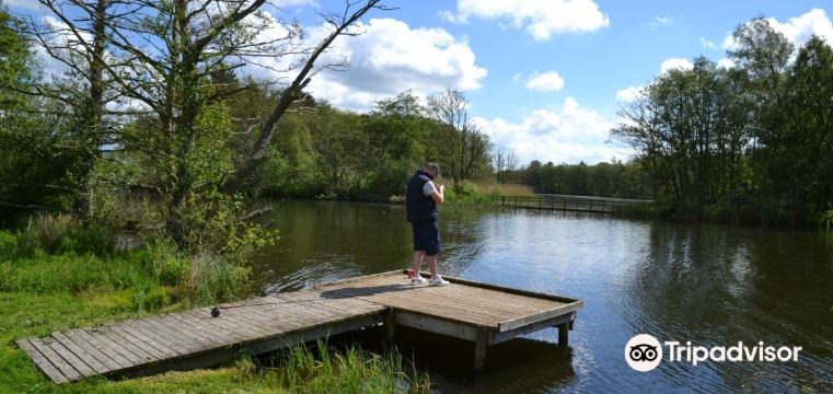 Otterburn Travel Guide 2023 - Things to Do, What To Eat & Tips | Trip.com