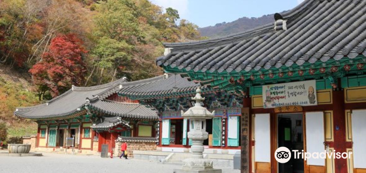 Jeongeup-si 2022 Top Things to Do - Jeongeup-si Travel Guides - Top ...
