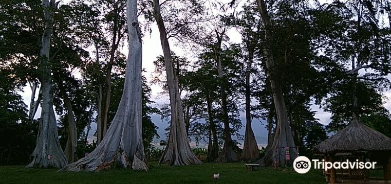 Labuhan Lombok 2023 인기 명소 - Labuhan Lombok 트립 가이드 - Labuhan Lombok 인기 ...
