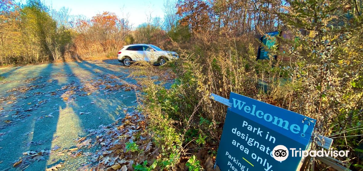 Rowley Travel Guide 2023 - Things to Do, What To Eat & Tips | Trip.com