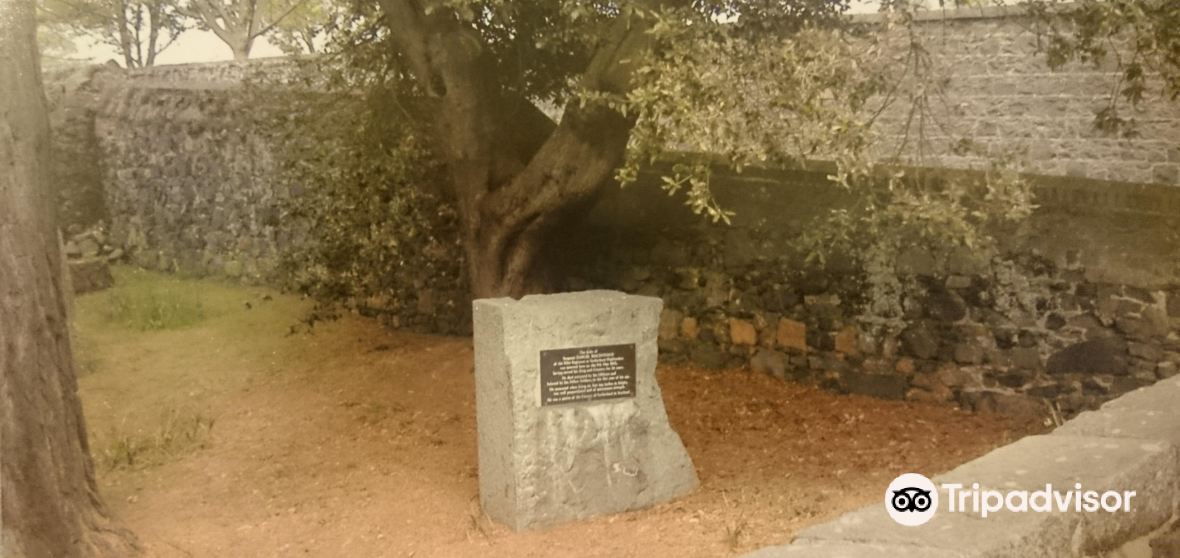 Sunk Island Travel Guide 2023 - Things to Do, What To Eat & Tips | Trip.com