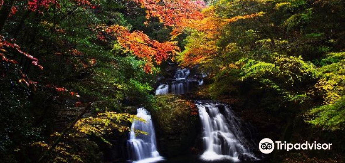 Nabari Travel Guide 2023 - Things to Do, What To Eat & Tips | Trip.com