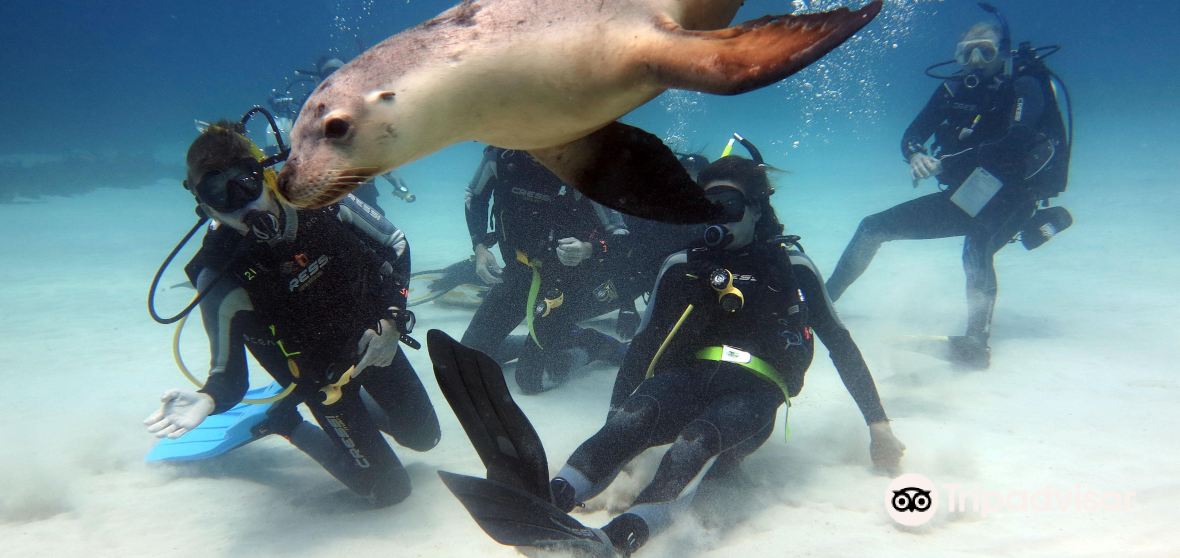 Balcatta Travel Guide 2023 - Things to Do, What To Eat & Tips | Trip.com