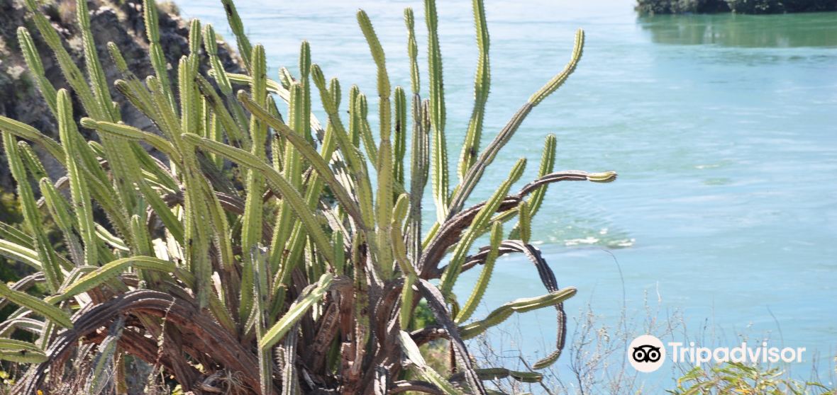 Santa Maria da Boa Vista 2023 Top Things to Do - Santa Maria da Boa ...