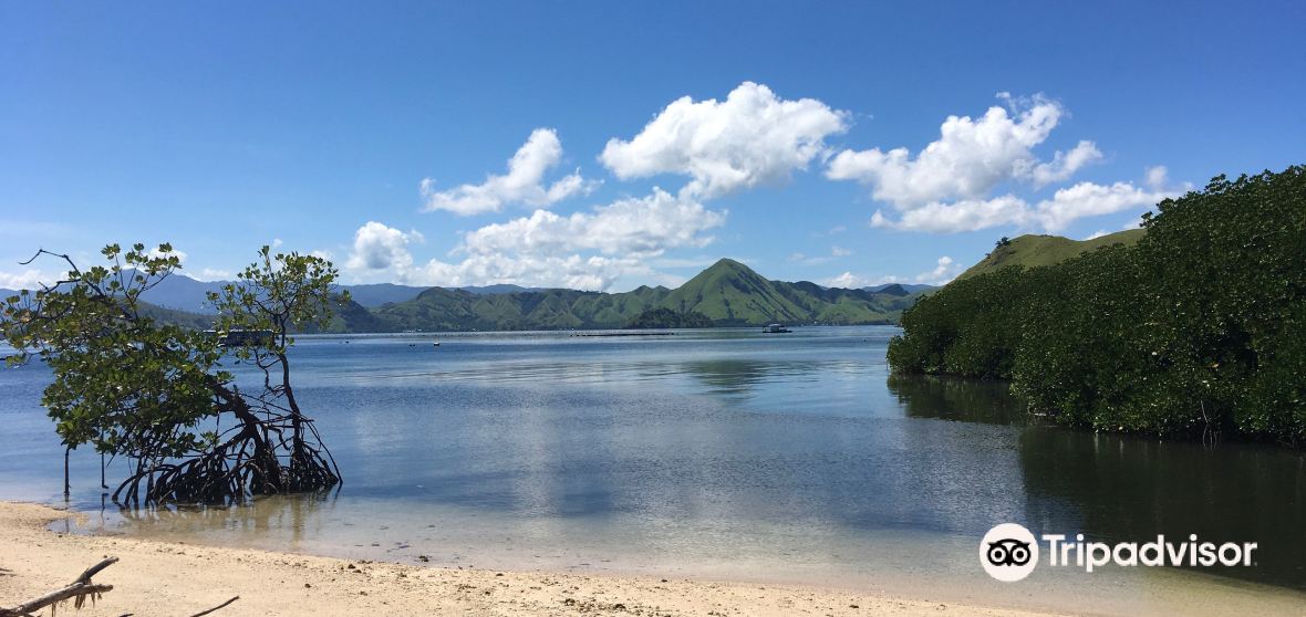 2023年Macang Tanggarの人気観光スポット - Macang Tanggarの旅行ガイド - Macang Tanggarの ...