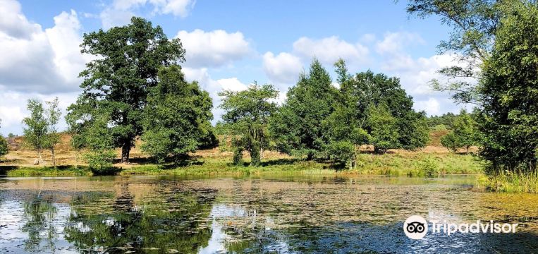 Toppenstedt Travel Guide 2023 - Things to Do, What To Eat & Tips | Trip.com