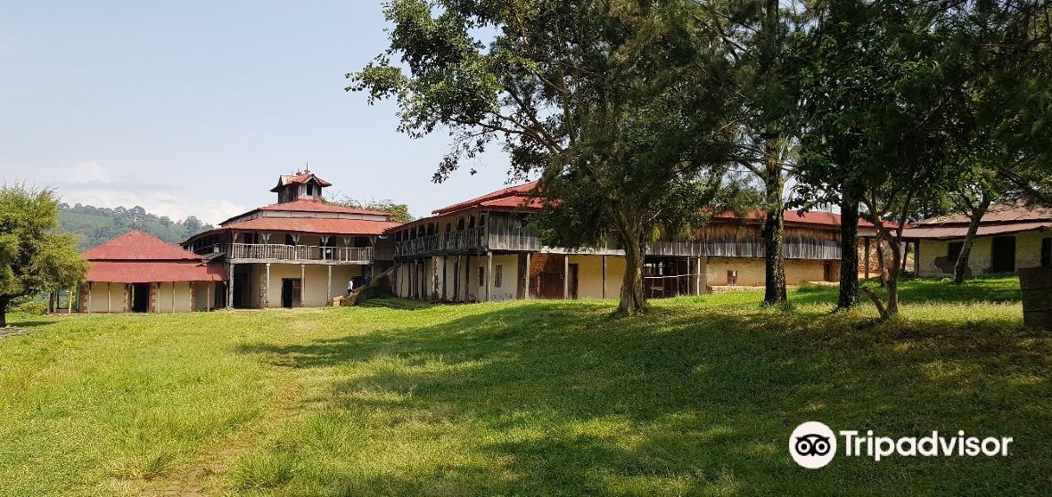 Jimma Travel Guide 2024 - Things to Do, What To Eat & Tips | Trip.com