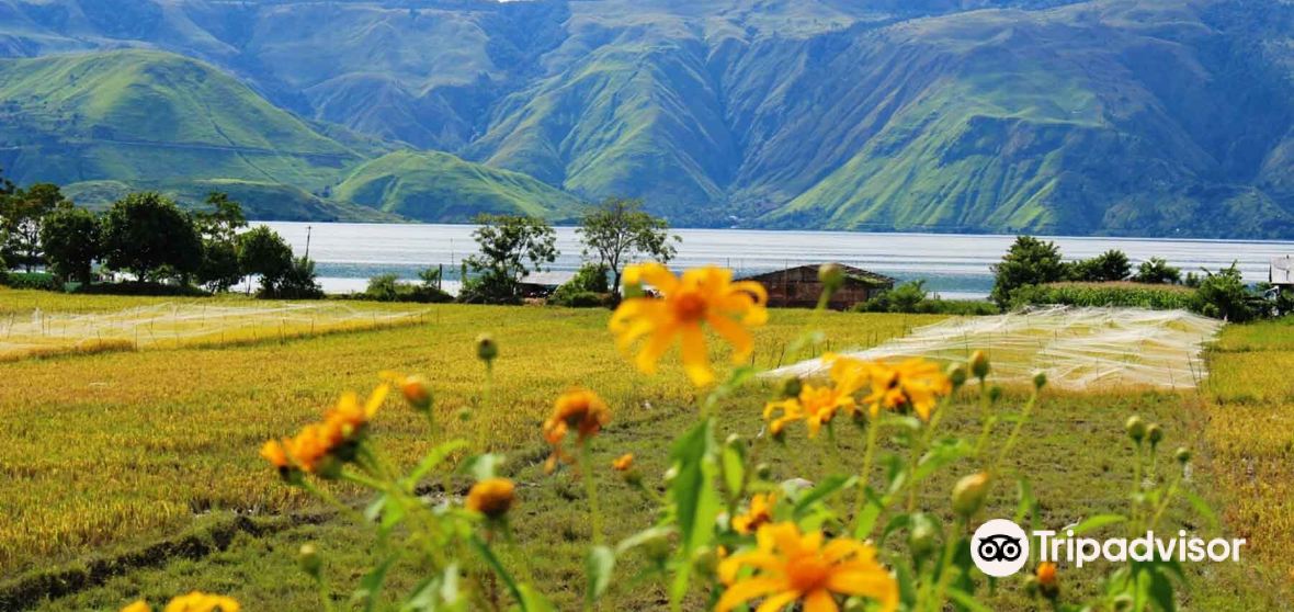 กิจกรรมน่าทำยอดนิยมในSamosir Regencyประจำปี 2023 - คู่มือท่องเที่ยว ...