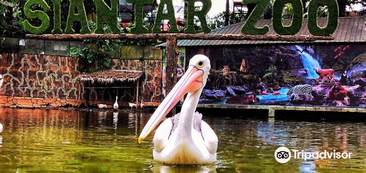 Pematang Siantar City Travel Guide 2023 - Things to Do, What To Eat ...