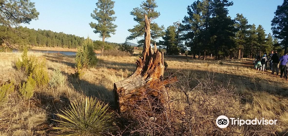 Show Low Travel Guide 2023 - Things to Do, What To Eat & Tips | Trip.com