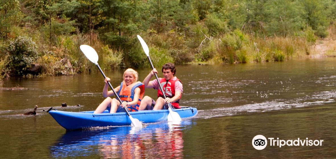 กิจกรรมน่าทำยอดนิยมในToombonประจำปี 2023 - คู่มือท่องเที่ยวToombon ...