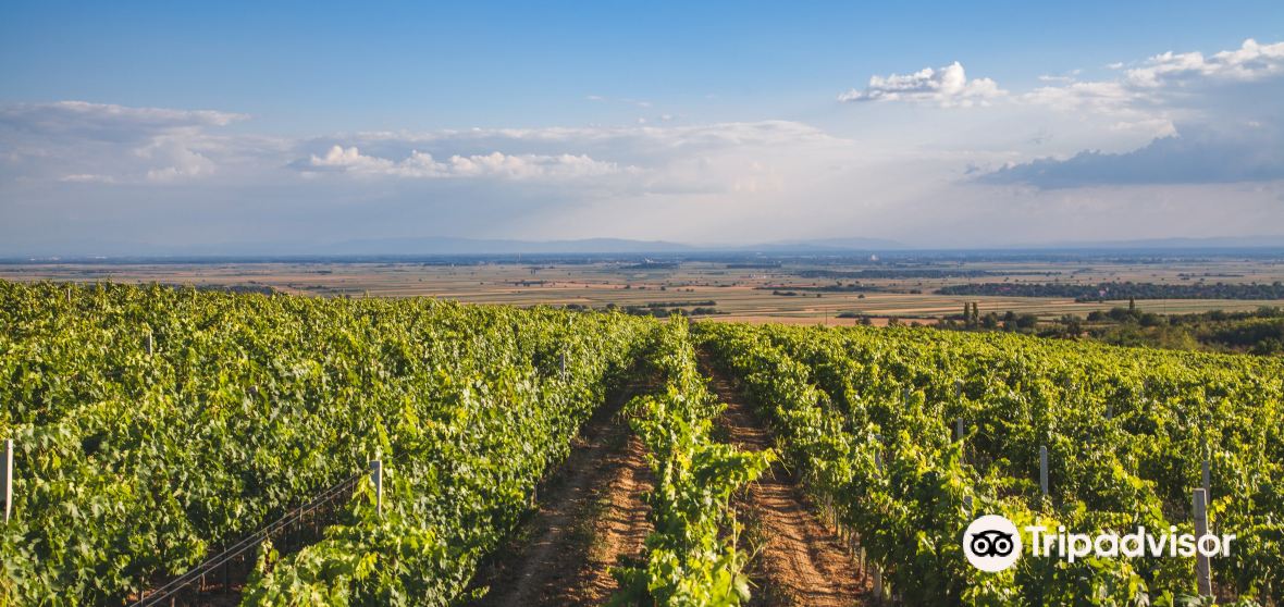 Srem District Travel Guide 2024 - Things to Do, What To Eat & Tips ...