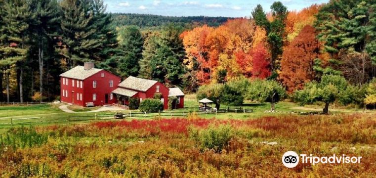 Harvard Travel Guide 2023 - Things to Do, What To Eat & Tips | Trip.com