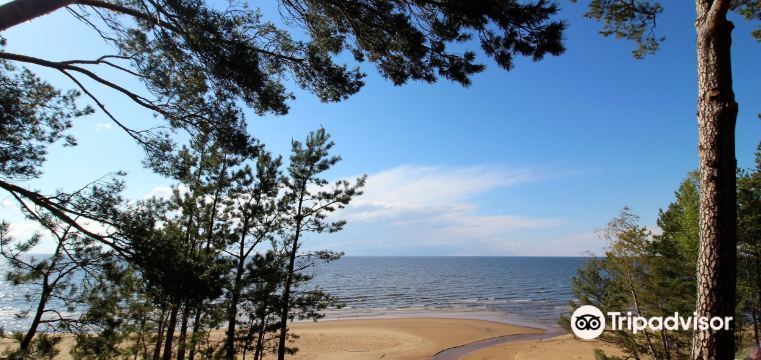 กิจกรรมน่าทำยอดนิยมในSkulteประจำปี 2023 - คู่มือท่องเที่ยวSkulte ...