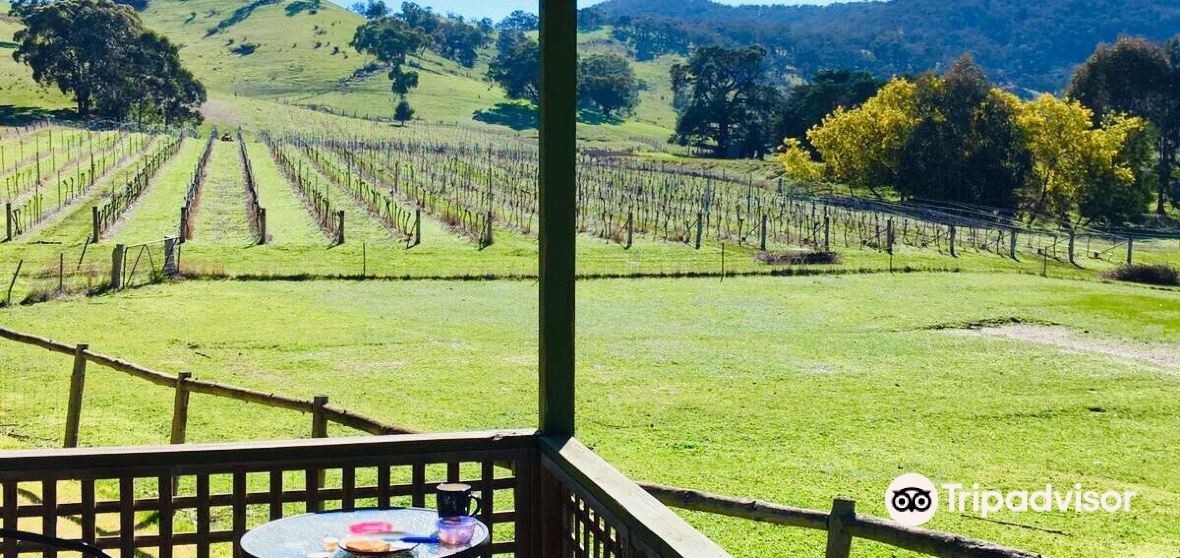 แนะนำการเดินทาง Mount Cole 2024 - สิ่งที่ควรทำ, อาหารที่ควรรับประทาน ...