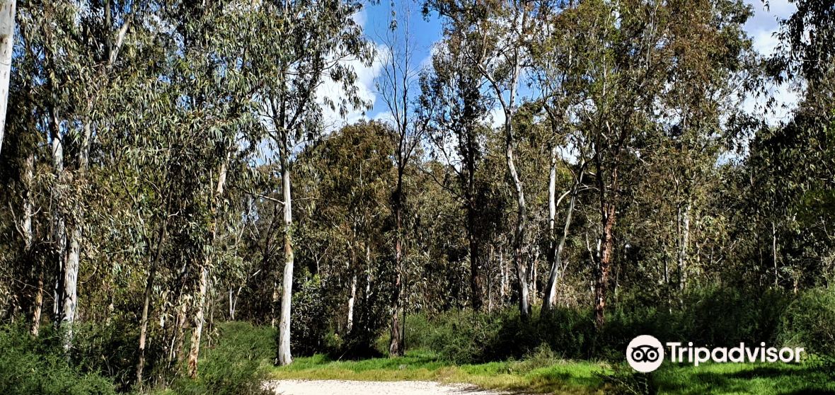 Kadima Zoran Travel Guide 2023 - Things to Do, What To Eat & Tips ...