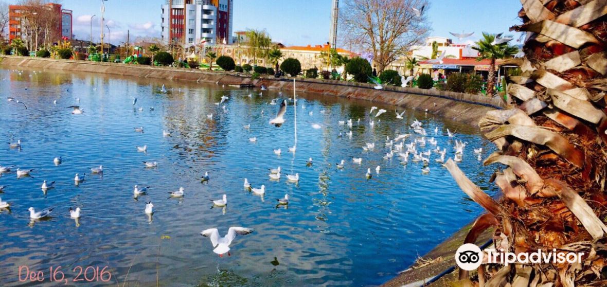 กิจกรรมน่าทำยอดนิยมในRod Banehประจำปี 2022 - คู่มือท่องเที่ยวRod Baneh ...